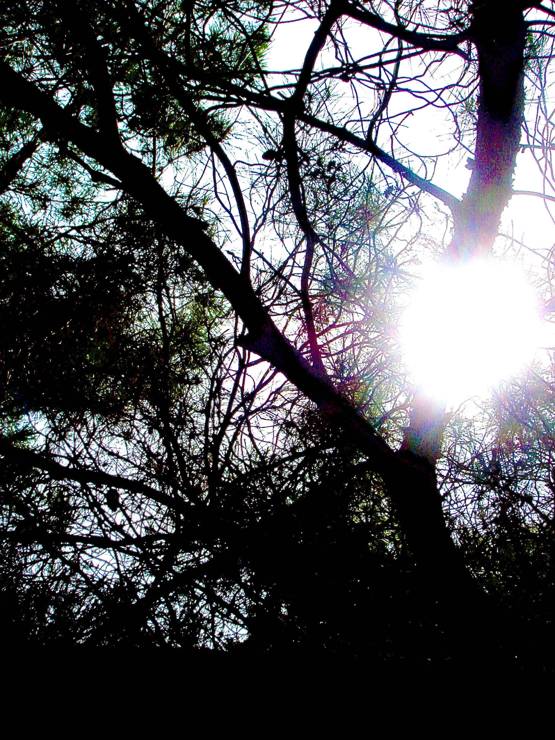 Shoplifter.com – Shoplifter2002